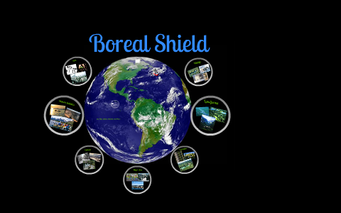 Boreal Shield by Cathlene Inumerable on Prezi