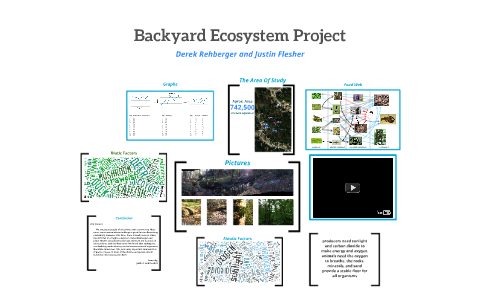 Backyard Ecosystem Project by Derek Rehberger on Prezi