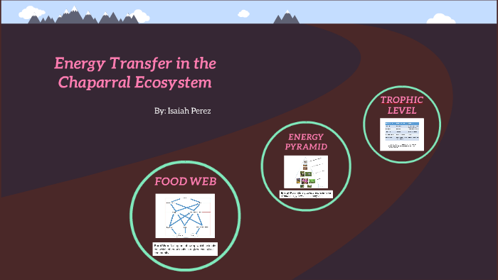 Energy Transfer in the Chaparral Ecosystem by Isaiah Perez on Prezi