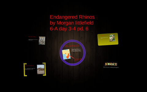 endangered rhinos by morgan littlefield on Prezi