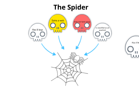 Spider vs Fly by Laura Gann on Prezi