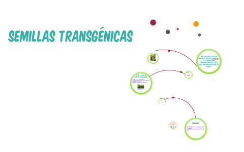 semillas transgenicas by natalia andrade on Prezi