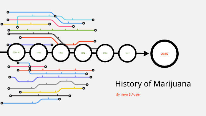 drug timeline by kara schaefer on Prezi