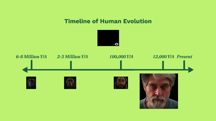Timeline of Human Evolution by Cayce Rose on Prezi