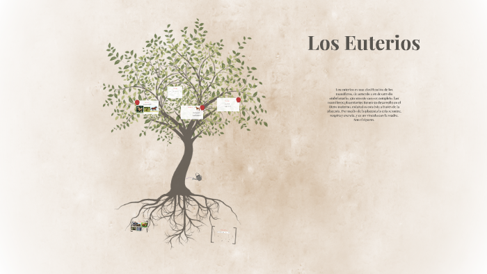 Los Euterios by Serena Contorsion on Prezi