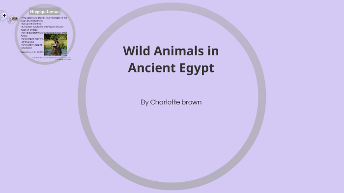Wild Animals in Ancient Egypt by C B on Prezi
