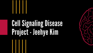 Cell Signaling Disease Project - Tourette Syndrome by Jeehye Kim on ...