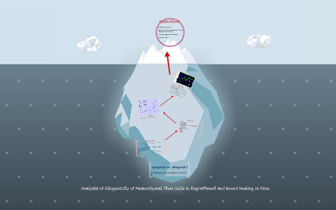 Analysis of Allogenicity of Mesenchymal Stem Cells in Engraftment and ...