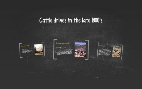 Cattle drives in the late 1800's by Libby Trogdon on Prezi