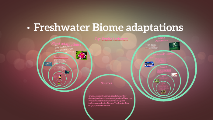 Freshwater biome adaptations by Brylie Letbetter on Prezi