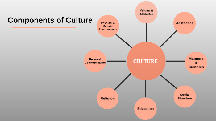 Components of Culture by Grace Gravino on Prezi