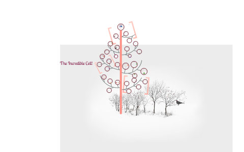 The Incredible Cell by Chloe Jackson on Prezi