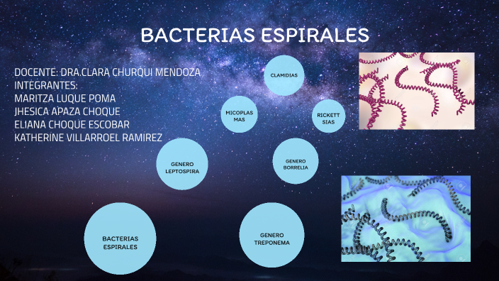 BACTERIAS ESPIRALES by Katherine Lorena Michelle Villarroel Ramirez on ...