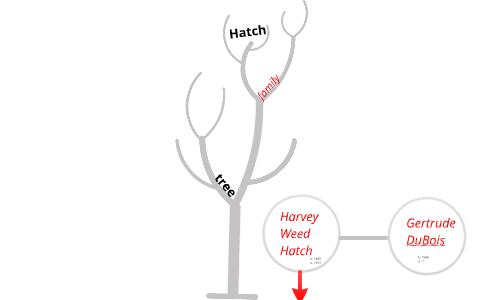 Hatch Family Tree by Shannon P Hatch on Prezi