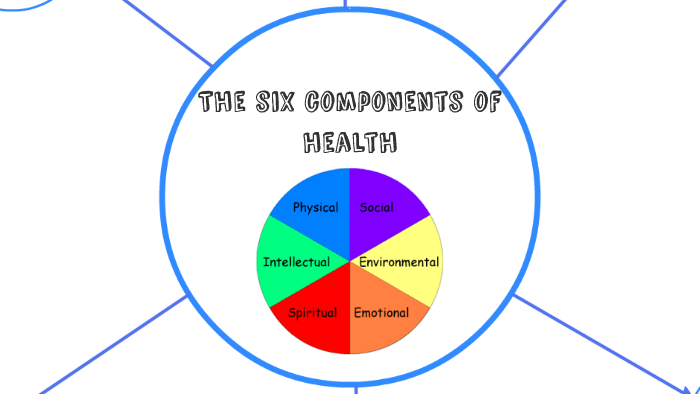 The six components of health by Daniela Melo on Prezi