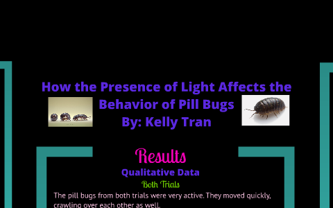 Pill Bug Lab Mini Poster by Kelly Tran on Prezi