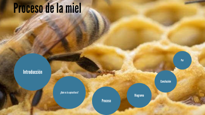 Proceso de la miel by Nataly Glez on Prezi