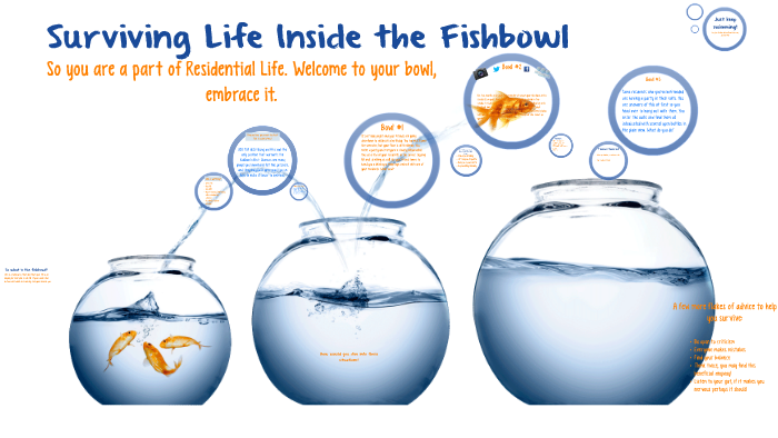 Surviving Life Inside the RA Fishbowl by Ivy Spas on Prezi