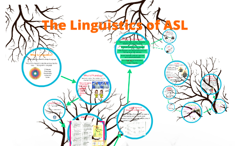 The Linguistics of ASL by Sarah Knapp on Prezi
