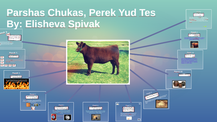 Parshas Chukas by Elisheva Spivak by Yerachmiel Kalter on Prezi