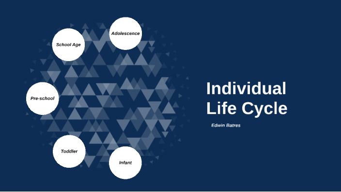 Individual Life Cycle by EDWIN BATRES on Prezi