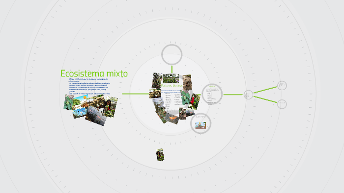 Ecosistema mixto by on Prezi