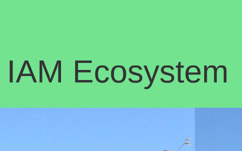 IAM Ecosystem by Emily Sikowski on Prezi