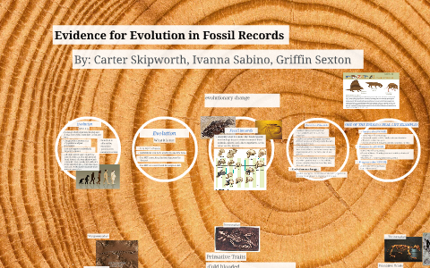 Evidence for Evolution in Fossil Records by Ivanna Sabino