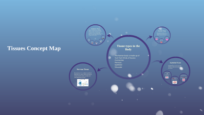 Tissues Concept Map by Lizzy Meneses