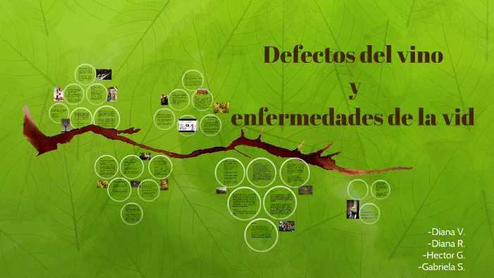 Defectos del vino by Diana Vega