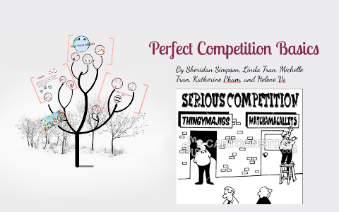 Perfect Competition Basics by S Simpson