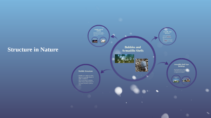 Structure in Nature by Sara Calvin