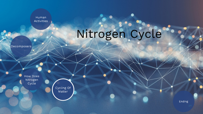 Nitrogen Cycle PPT by Mike Coxsmol on Prezi