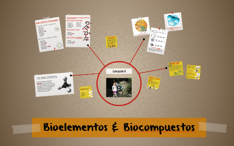 Bioelemento & Biocompuestos by lorena villa