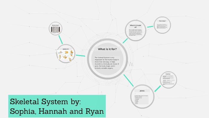 Skeletal System by Sophia Werner on Prezi