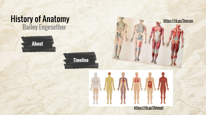 History of Anatomy by Bailey Engesether on Prezi