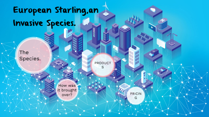 European Starling(Invasive Species) by sc2007 Chap on Prezi