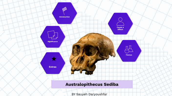'Australopithecus sediba' Unit 8 Project - SD by Sauyeh Daryoushfar on ...