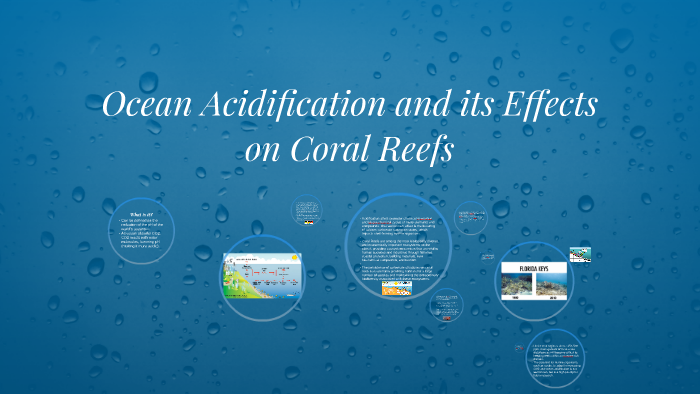 Ocean Acidification and its Effects on Coral Reefs by Michelle Abcdef ...