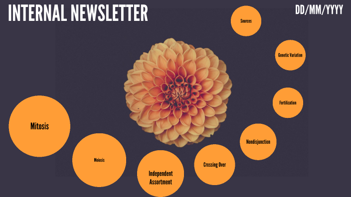 Module Eight Lesson One Pathway Three Activity by Nikhil Patel on Prezi