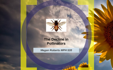 The Decline in Pollinators by Megan Roberts on Prezi