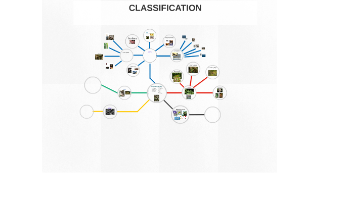 CLASSIFICATION by Peter Gulian on Prezi