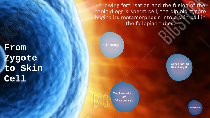 Cells, Tissues and Organisms Poster by Elly Howell on Prezi