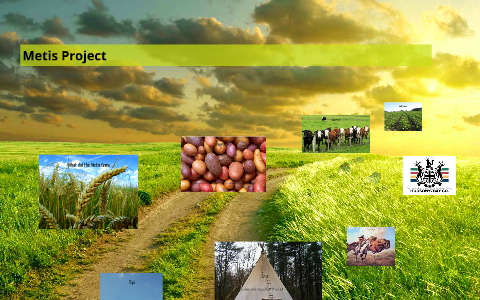 Metis Project by Kyle Wood