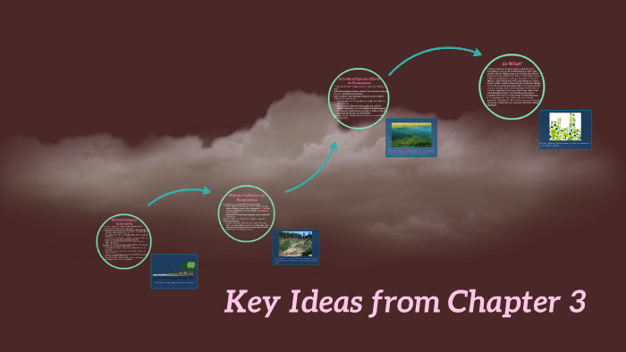 Key Ideas from Chapter 3 by sarah topacio on Prezi