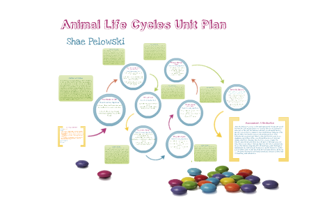 Animal Life Cycles Unit Plan by Shae-Marie Pelowski on Prezi