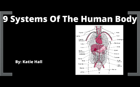 9 Systems Of The Human Body. by Katie Hall on Prezi