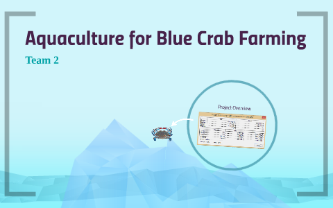 Aquaculture for Blue Crab Farming by burak o on Prezi