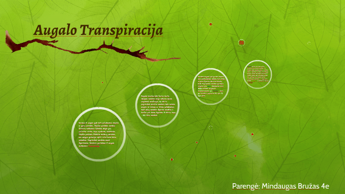 Augalo Transpiracija - Biologija 4k. by M B on Prezi