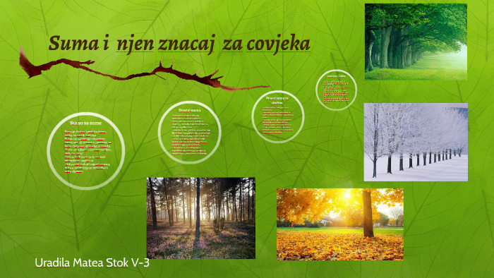 Suma i njen znacaj za covjeka by andrea andrea on Prezi